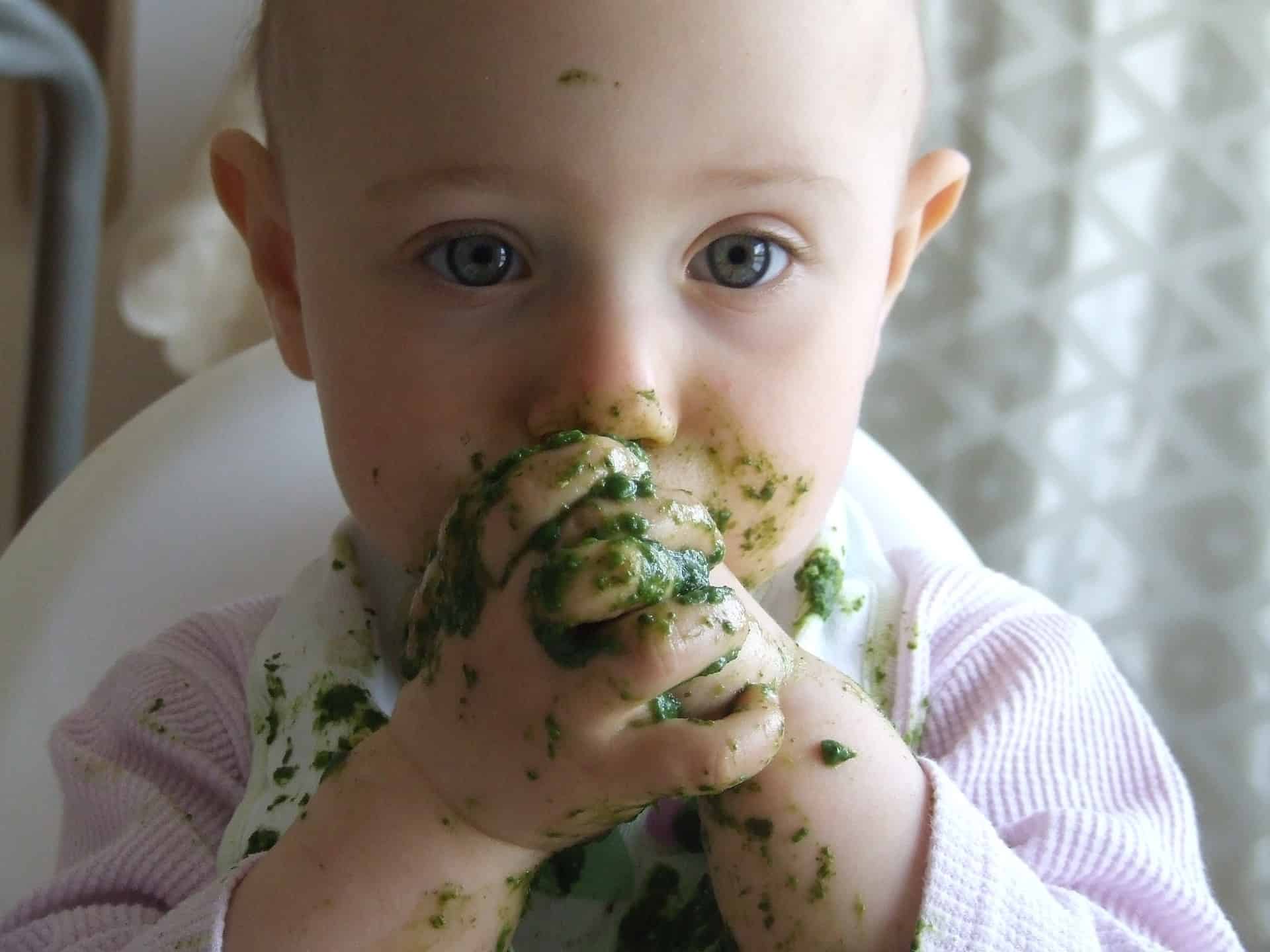 Baby Led Weaning: ¿cómo y cuando empezar? - Formainfancia European School